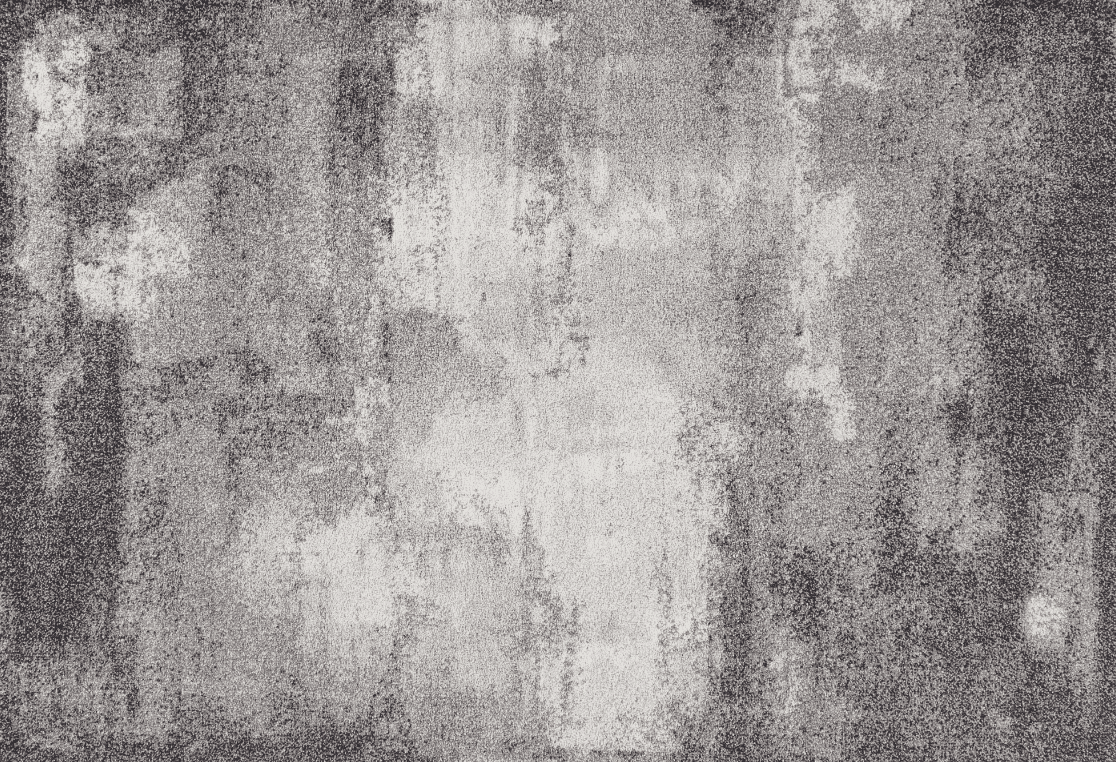 Grey & Charcoal Area Rug - 2 Danes